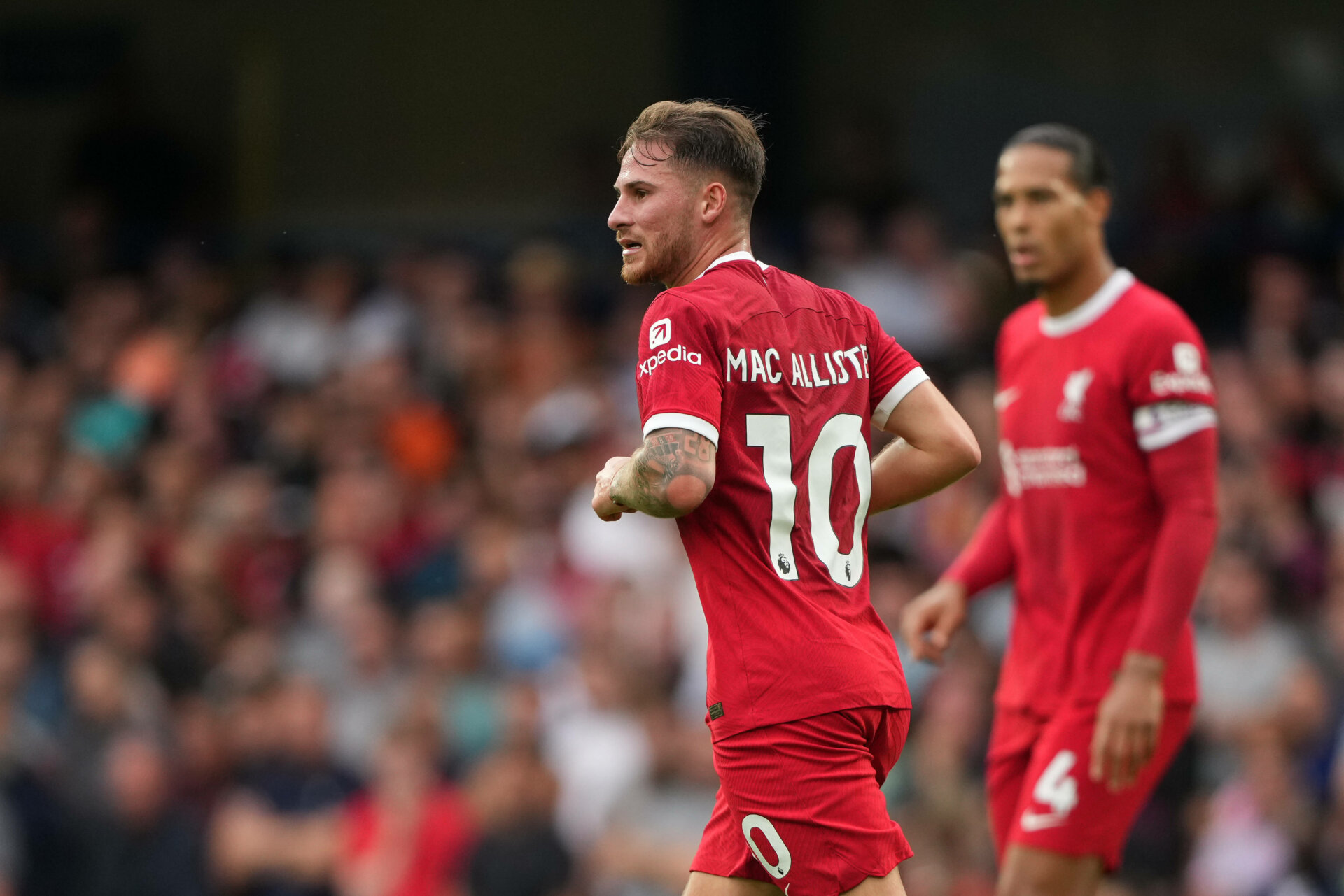 Could Mac Allister Play Role in Liverpool Managerial Hunt? - Anfield Index