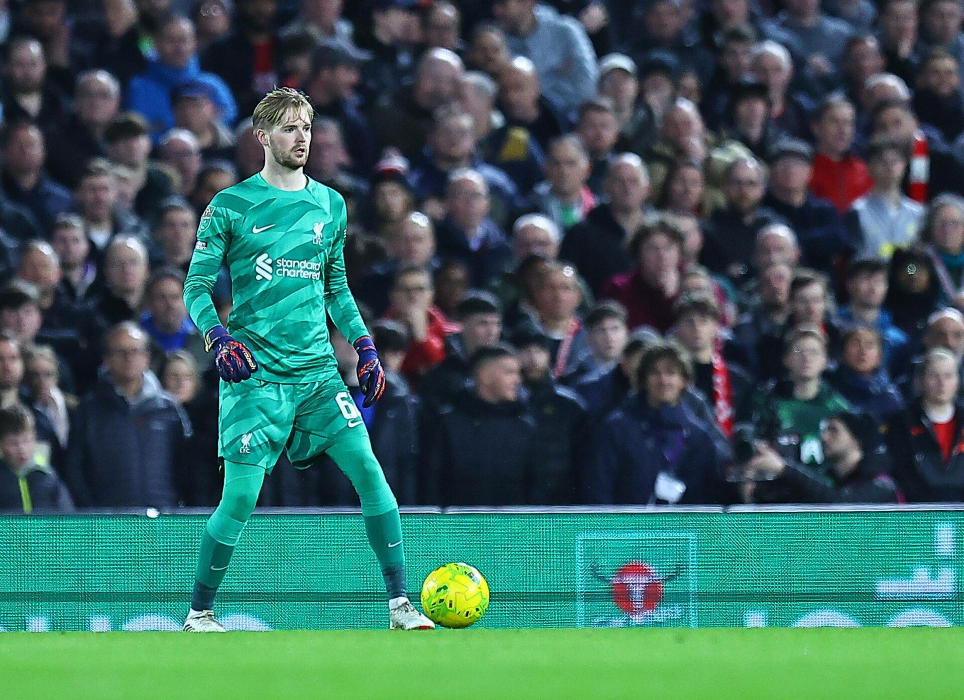 Shay Given Provides Insight on Caoimhin Kelleher - Anfield Index