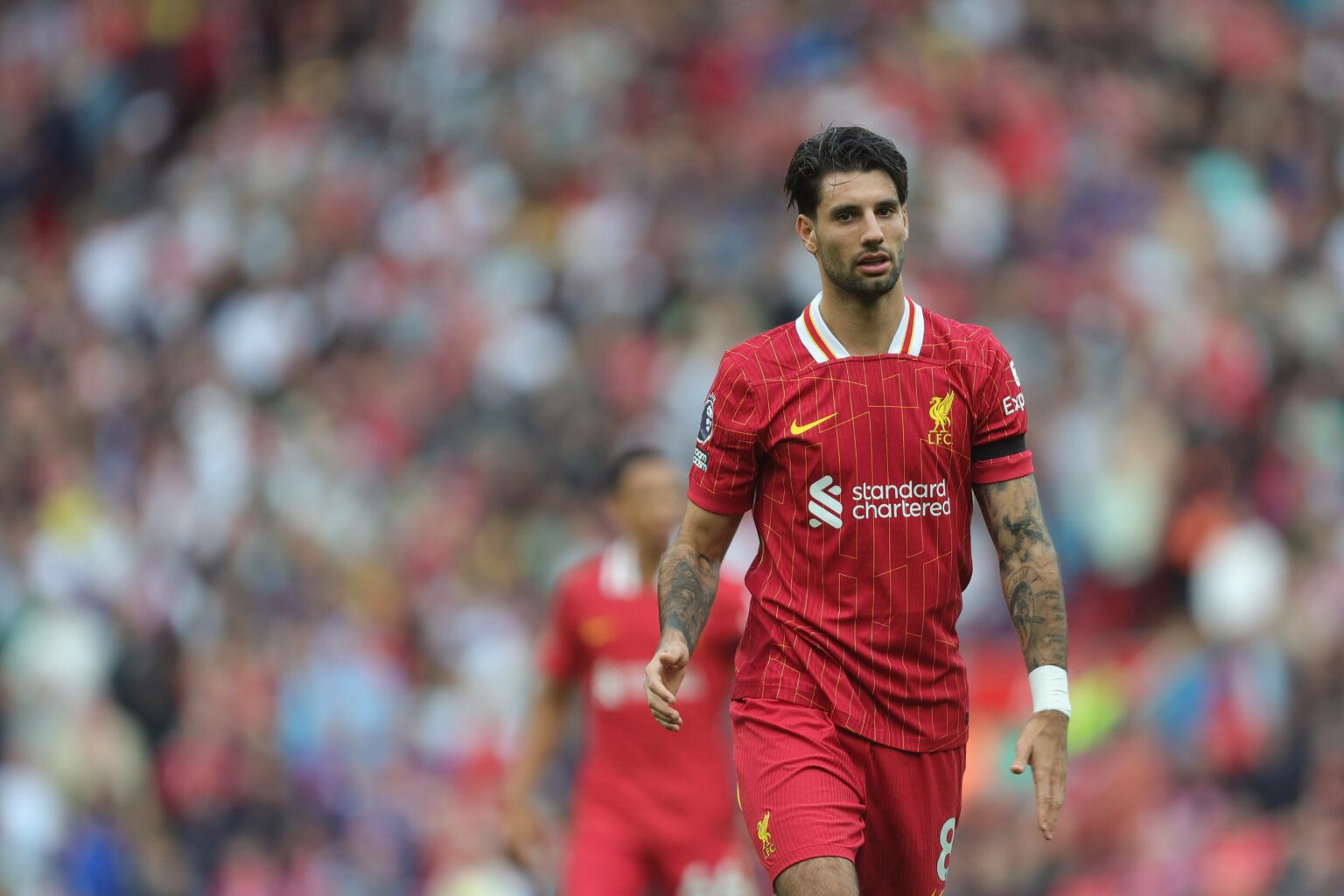 Match Preview: Karl Matchett Backs 'Devastating' Liverpool to Cause ...