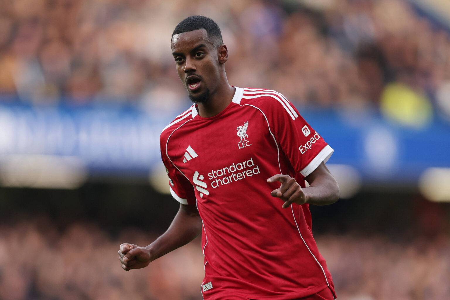 Sweden manager provides Alexander Isak fitness update after Liverpool ...